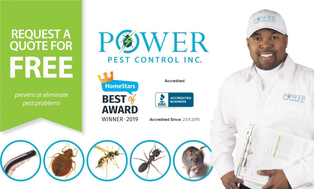 Pest Control - Toronto's #1 Local Pest Control Services - Pest Exterminator